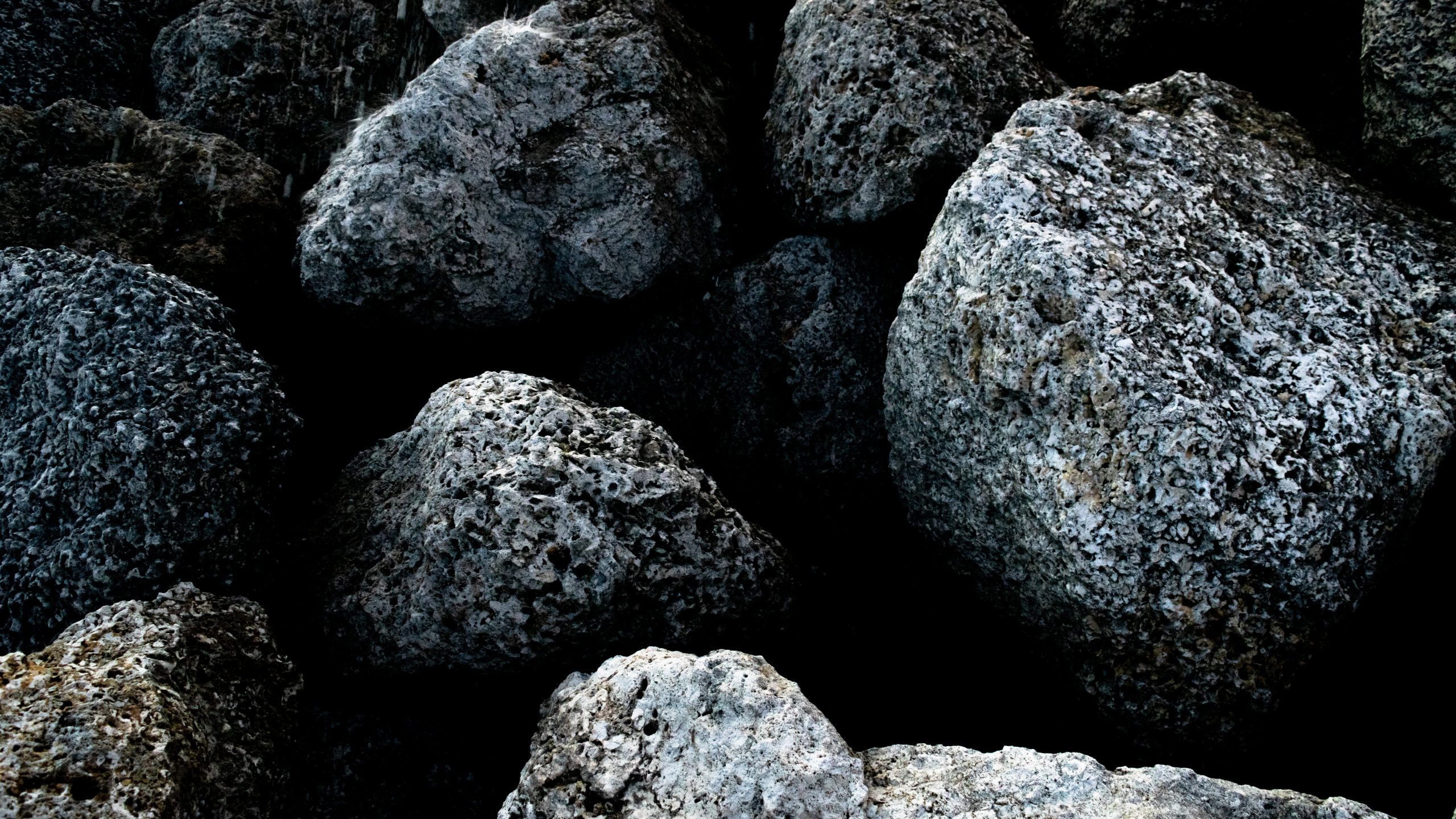 Amuse Imagery Photography & Videography